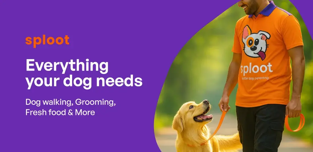 Dog Grooming Bangalore - Dog Grooming Services at Home in Bangalore